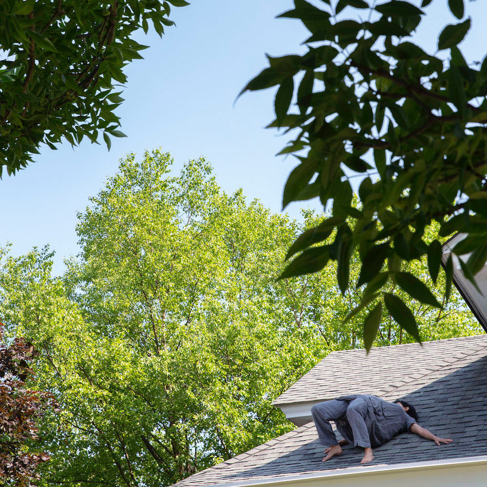 Artist Spotlight: Laura Larson Week 1 - Contemporary Art Matters