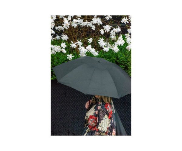 Arne Svenson: A Beautiful Day - Contemporary Art Matters